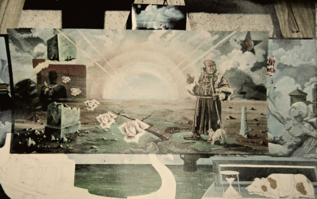 dino-background – Mitchell Pluto