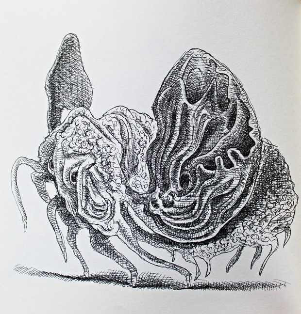 Patrick Hourihan Automations – Mitchell Pluto